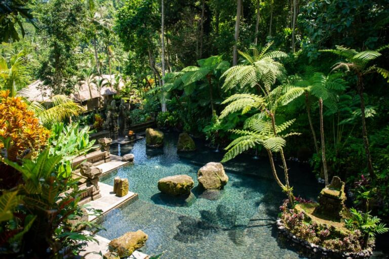 101 On Biophilic Design | Gonzales, LA Swimming Pool Contractor
